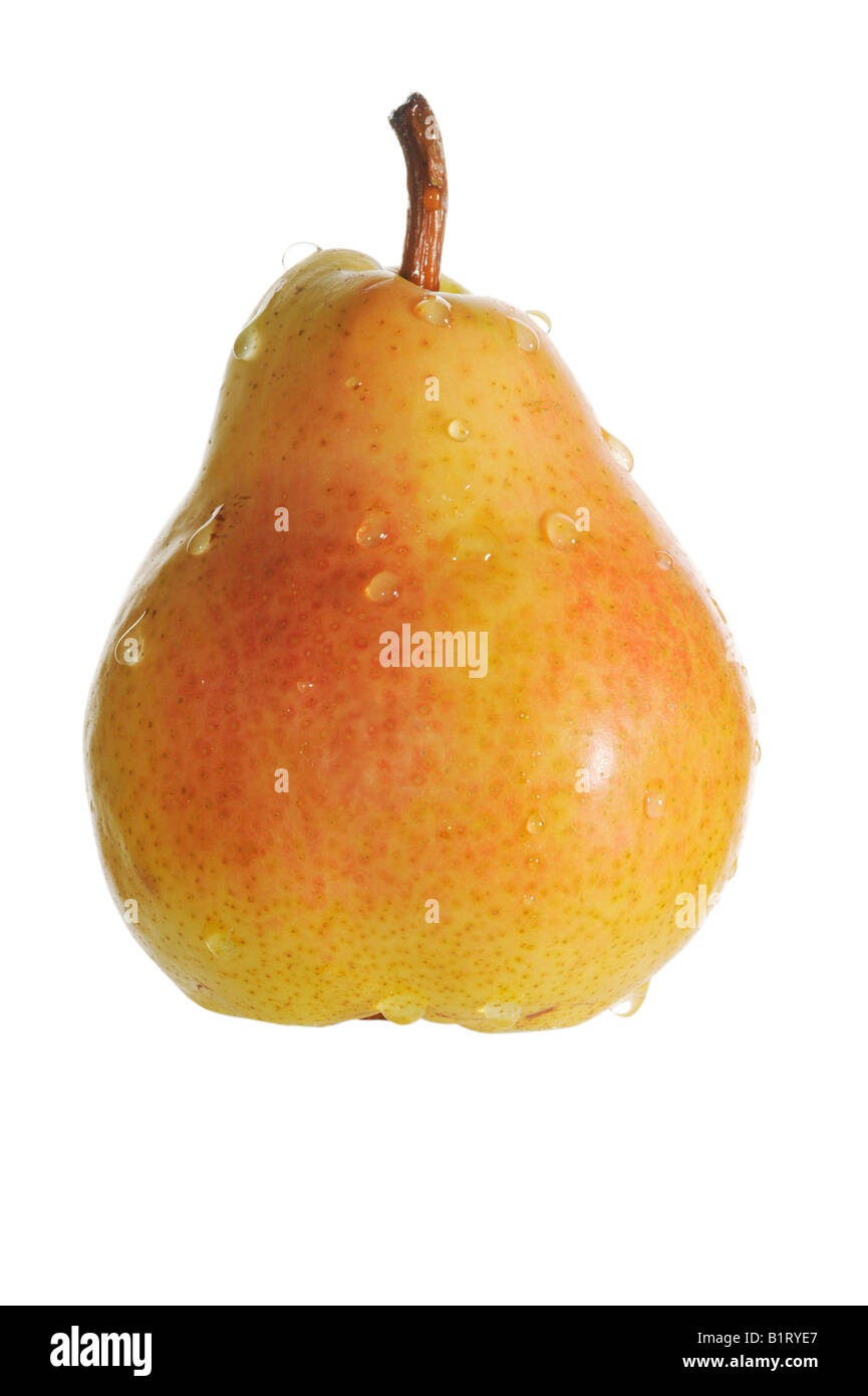 Covered inside Cut Out Stock Images & Pictures - Alamy