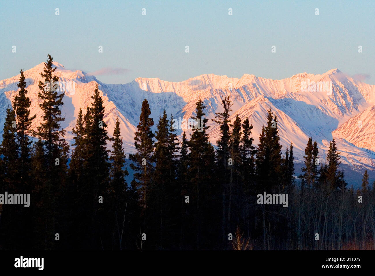 St. Elias mountain range, spruce trees, Yukon Territory, Canada, North ...