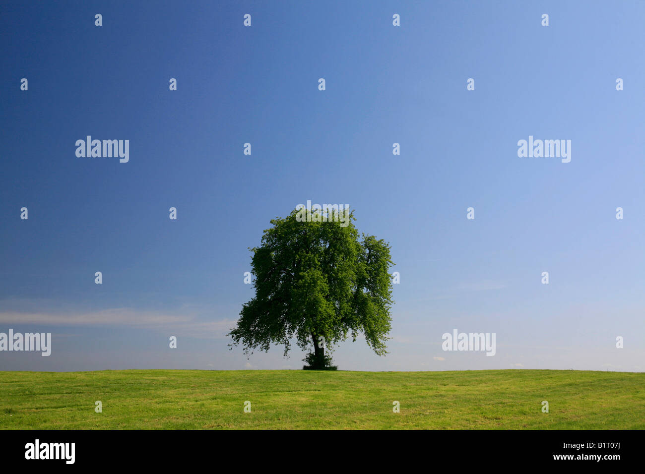 Mai landschaften hi-res stock photography and images - Alamy