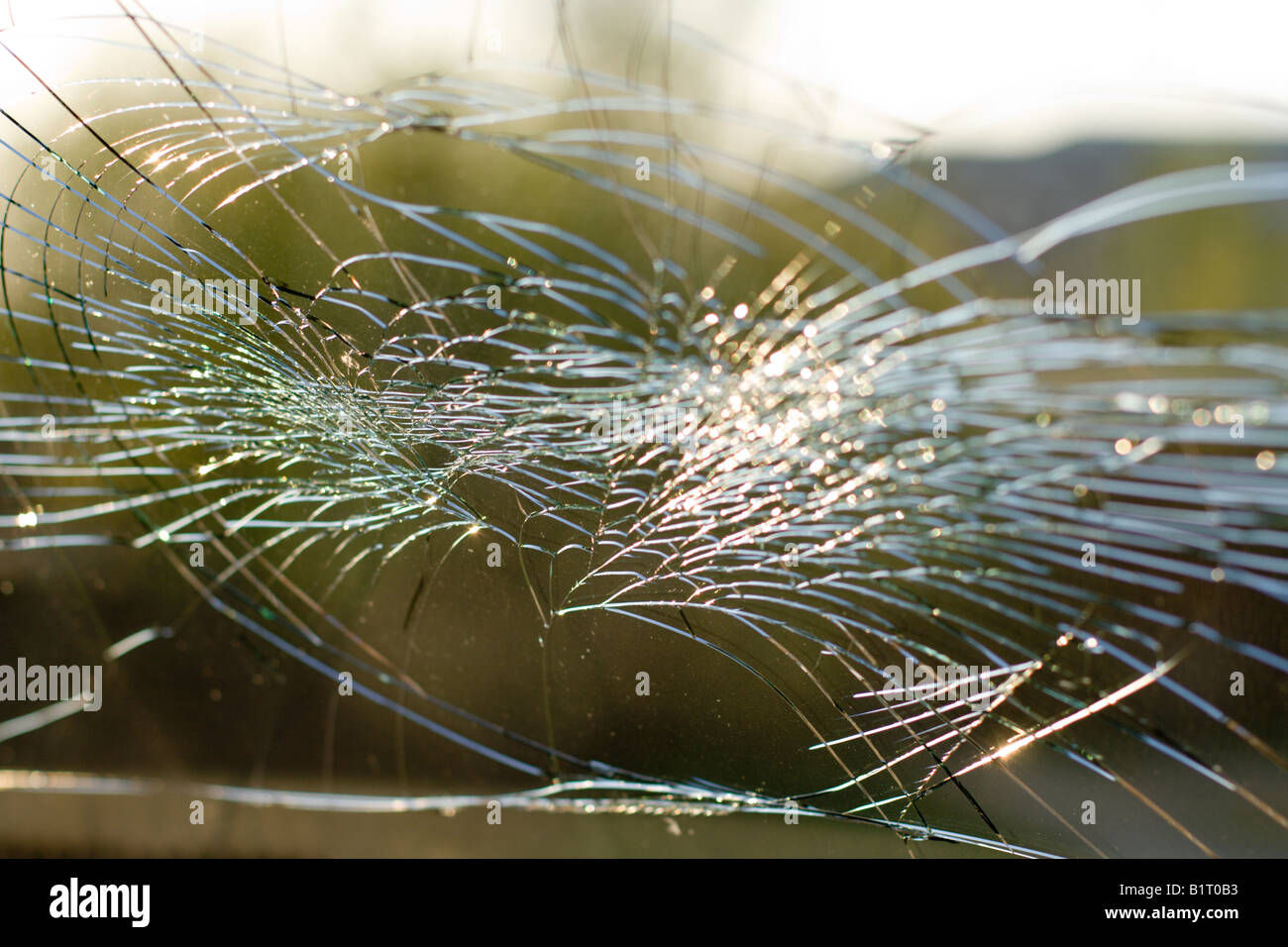 web of splits on the triplex windscreen Stock Photo - Alamy