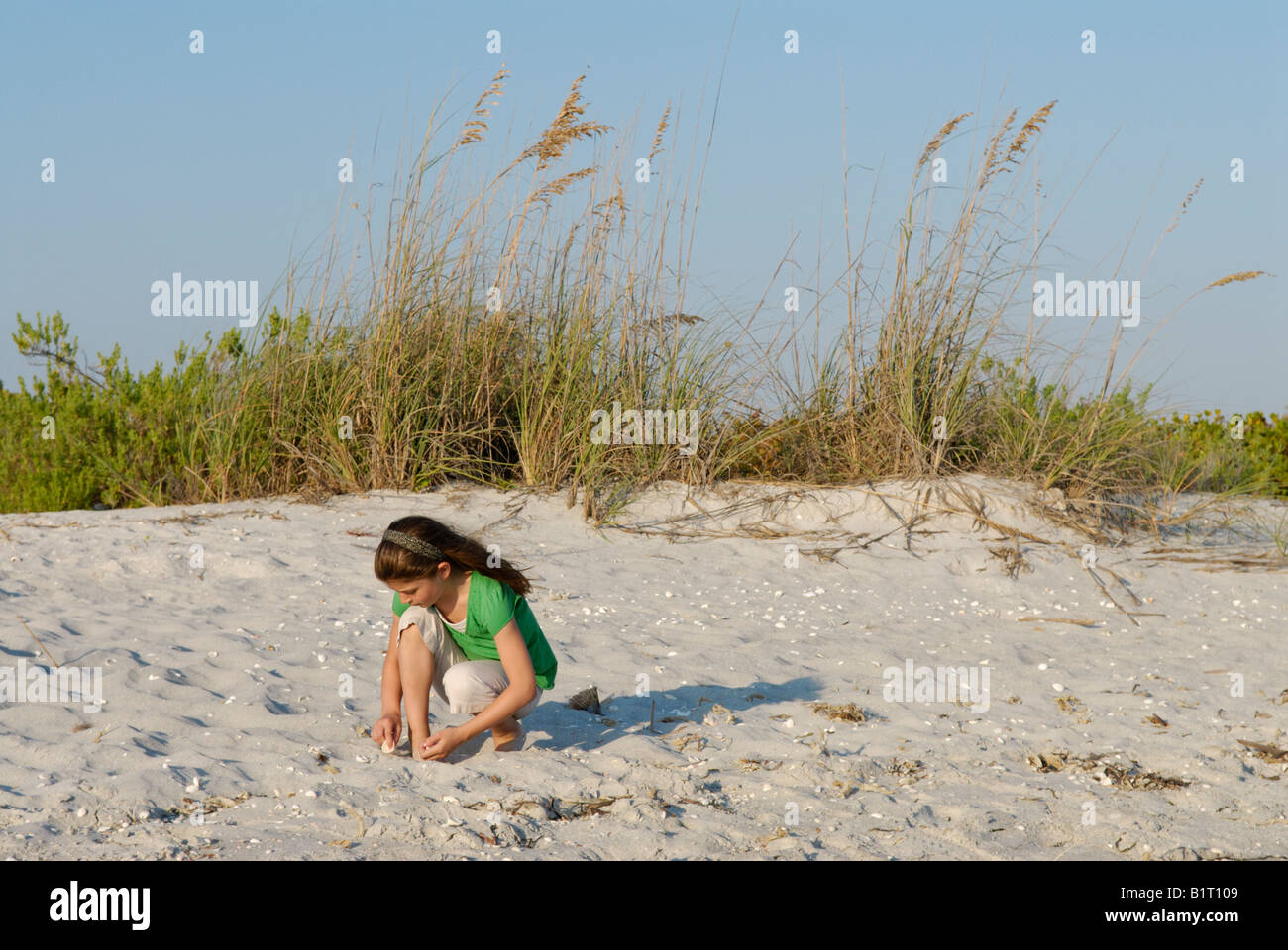 Collecting shells hi-res stock photography and images - Alamy