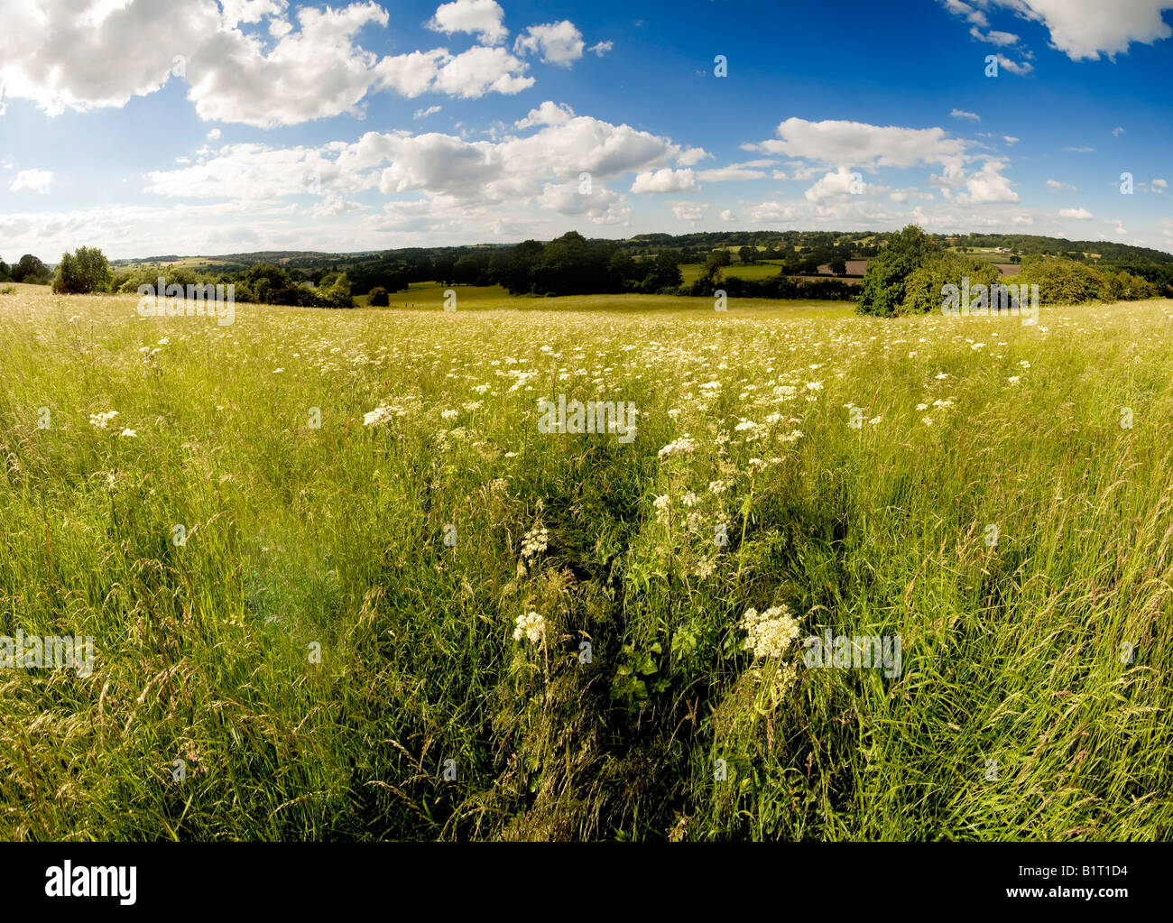 The grounds of a country estate Stock Photo - Alamy