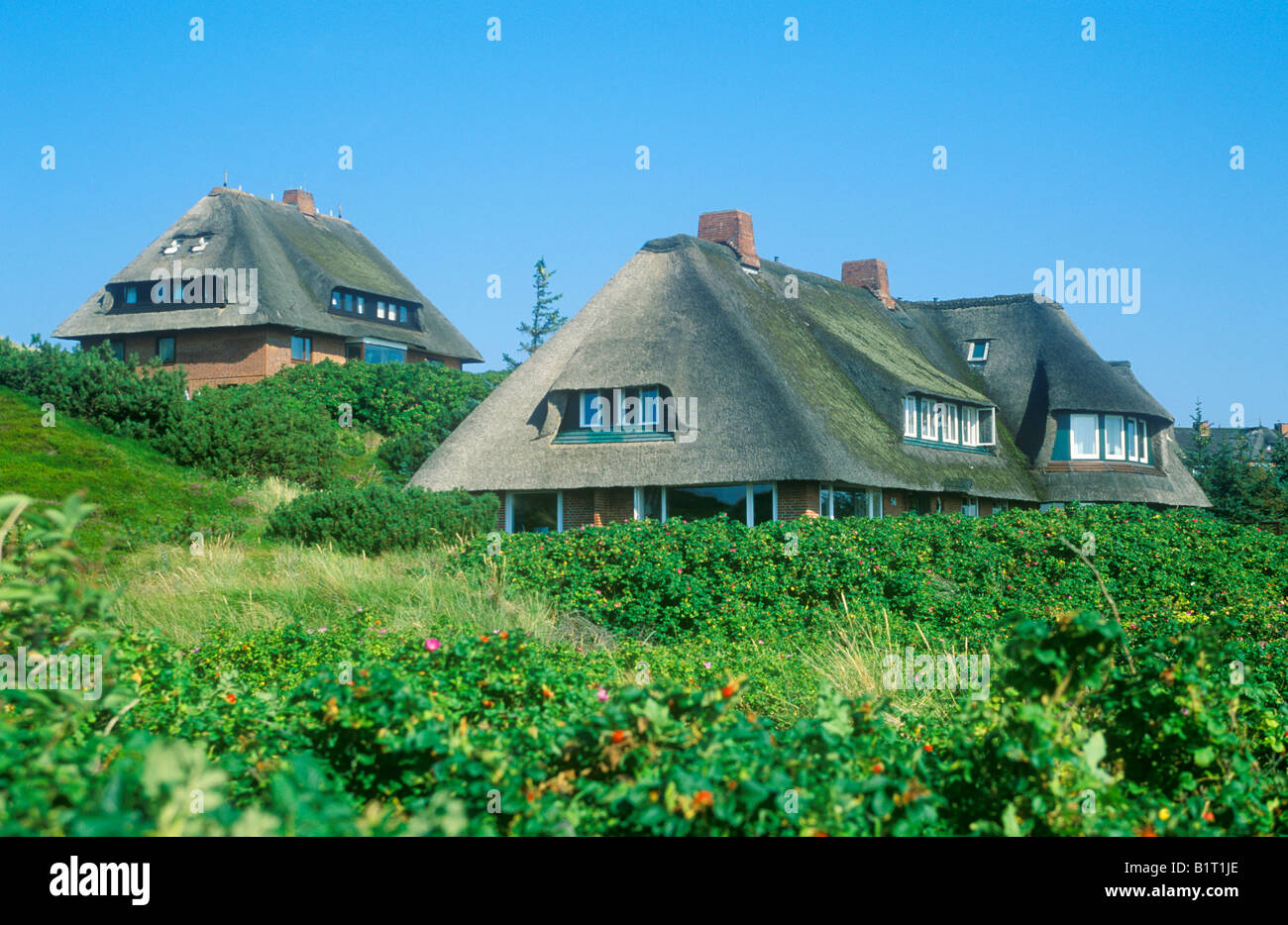 thatched houses in Rantum on Sylt Island in Northern Germany Stock ...