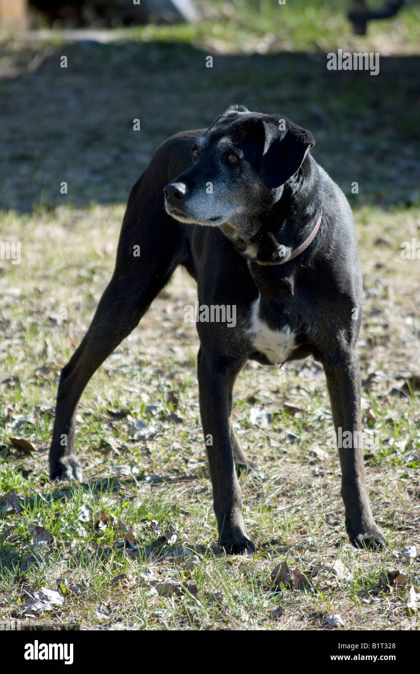 Chase the ball hi-res stock photography and images - Alamy