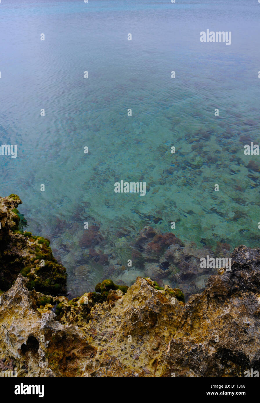 Abstract marine landscape with rocks and seaweed Stock Photo - Alamy