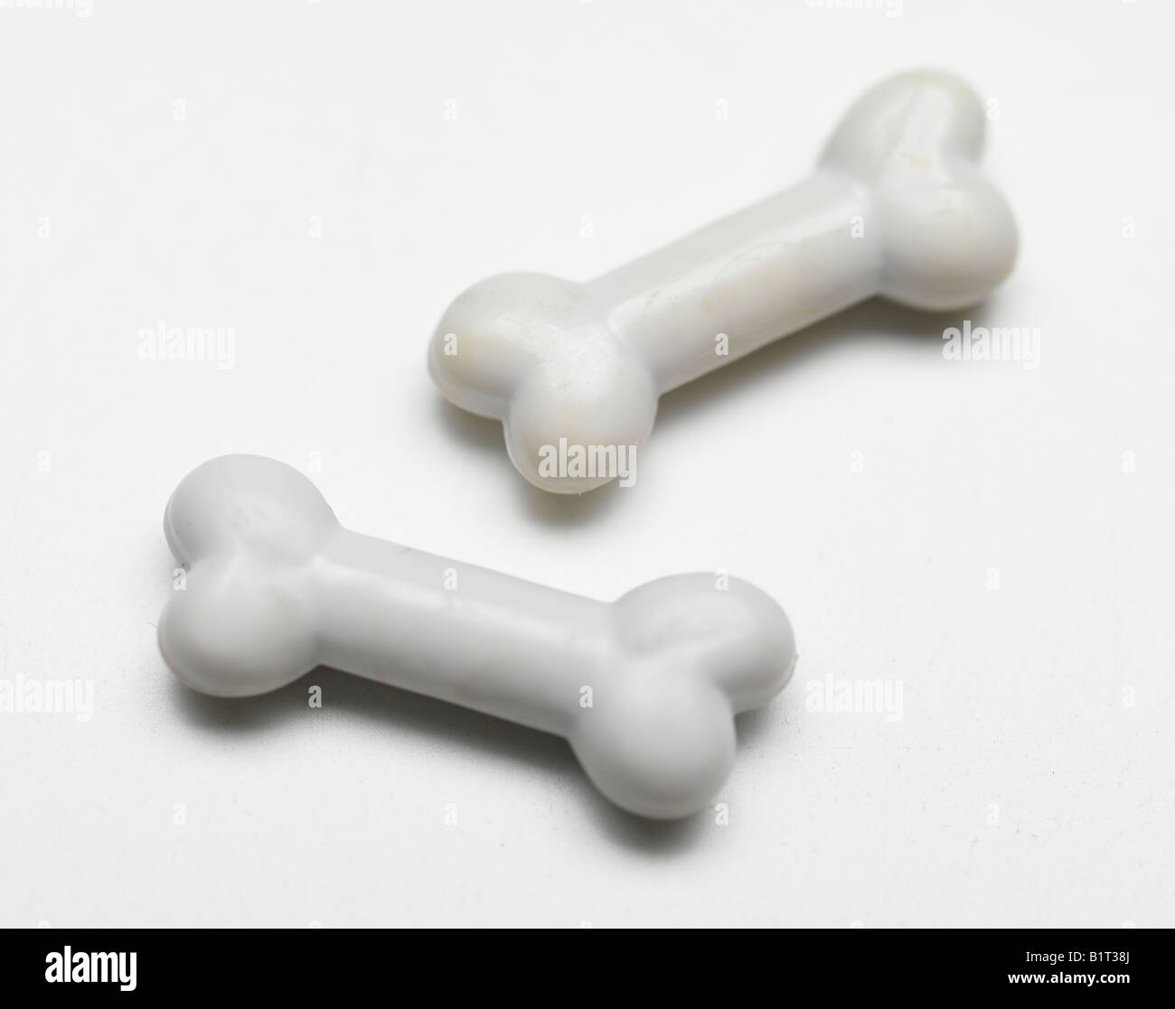 bone two double composition skeleton human body hard white plastic ...