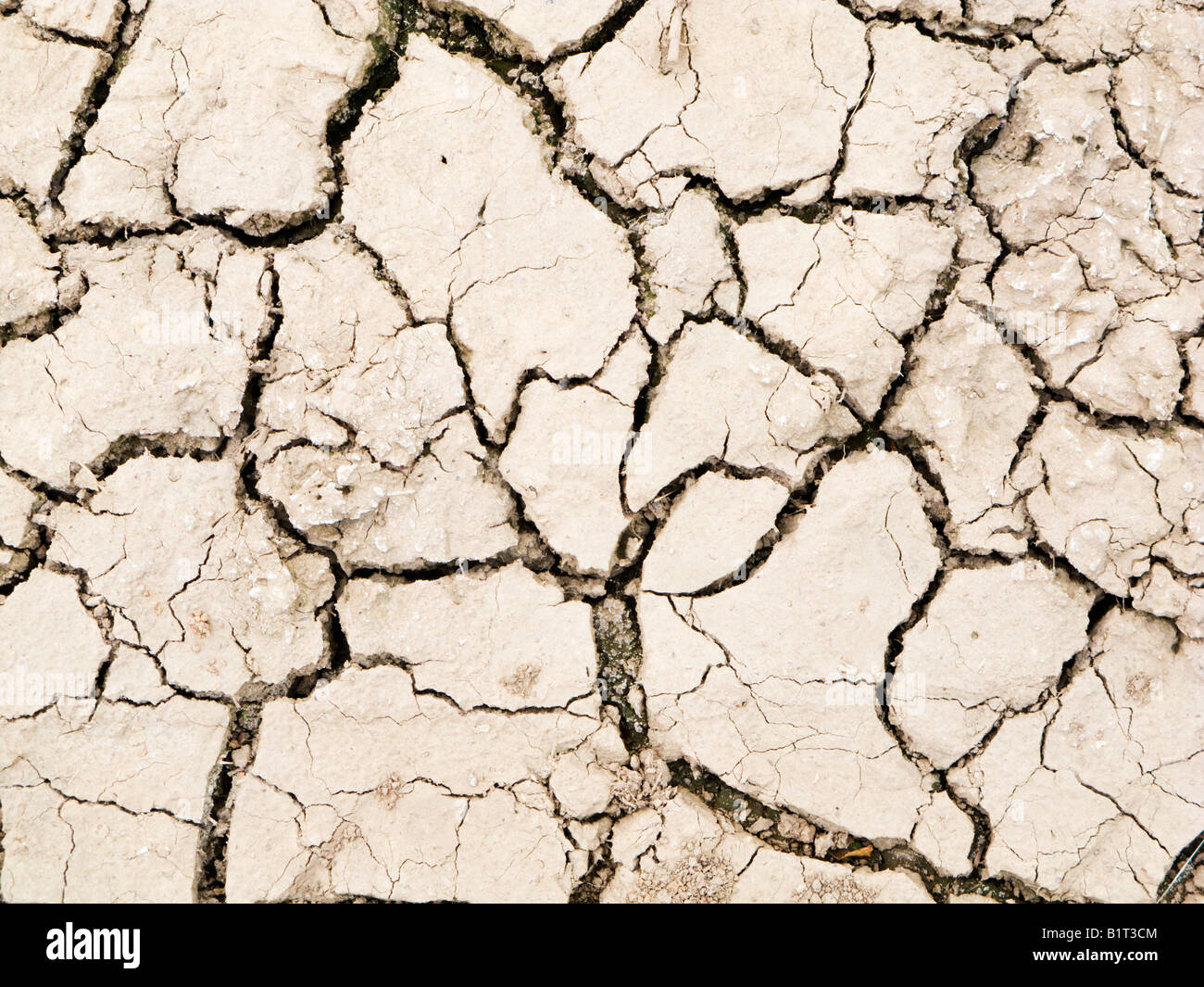 Cracked broken and dried soil forming a pattern Stock Photo - Alamy