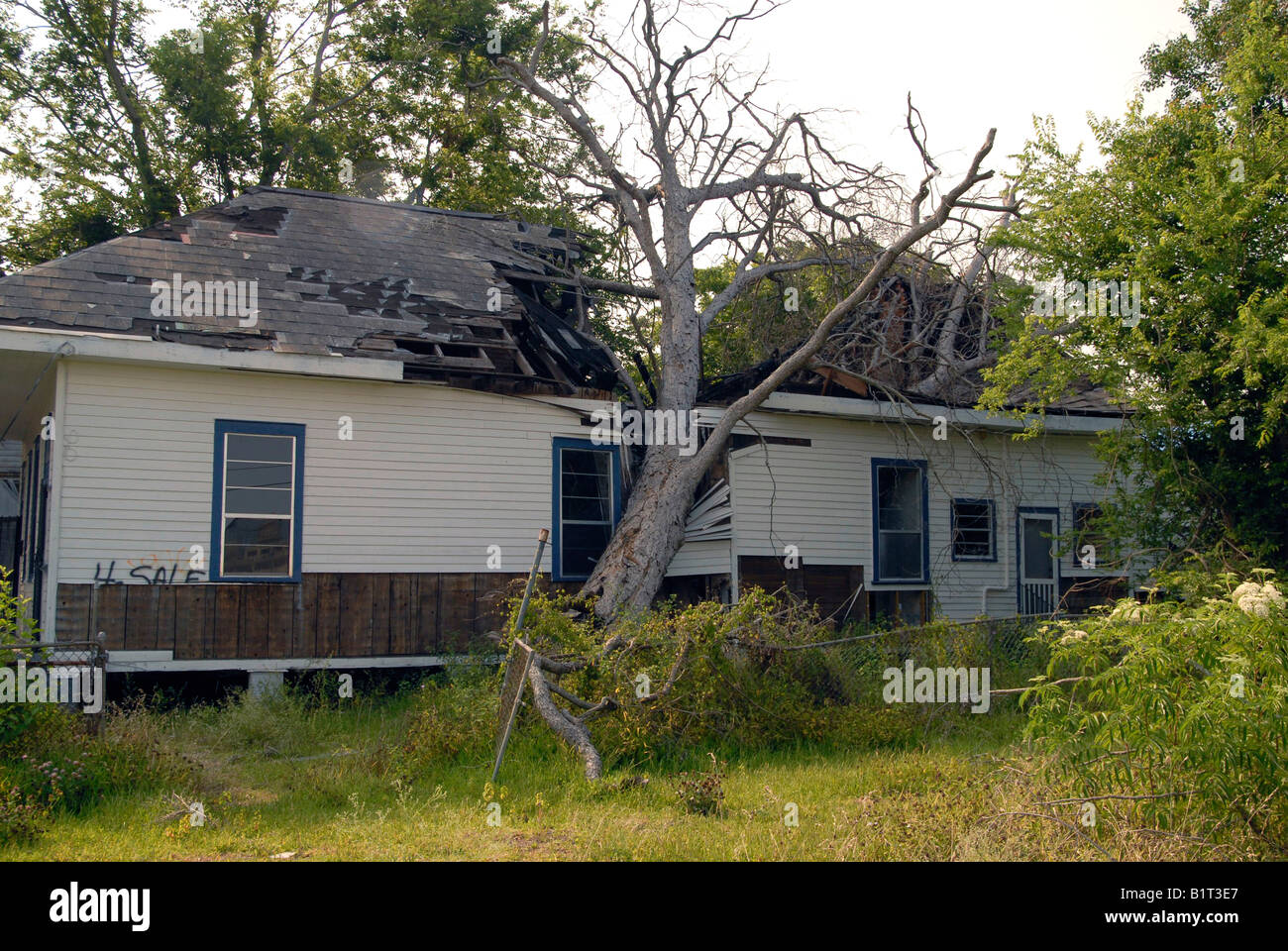 Storm damaged house remains deserted ten months after the levees ...