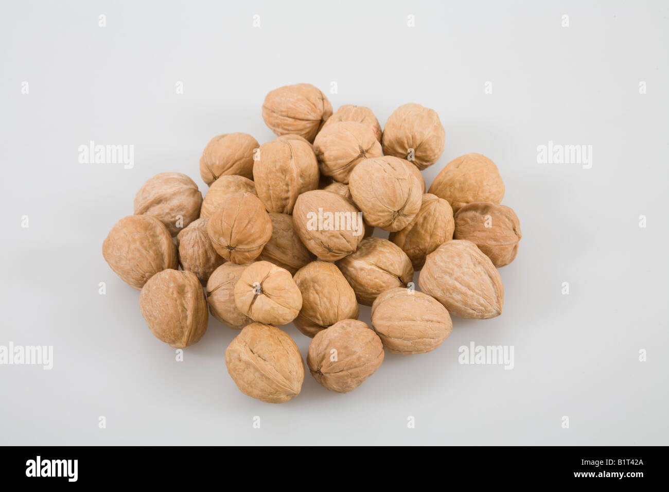 Walnuts on a white background Stock Photo - Alamy