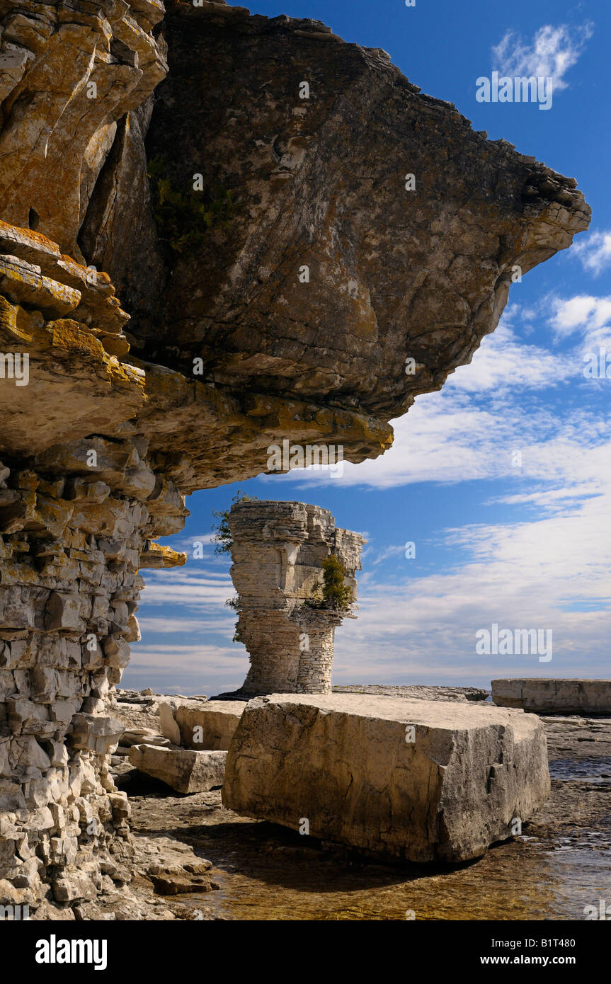 Dolomite above softer limestone in seastacks on shore of Flowerpot ...