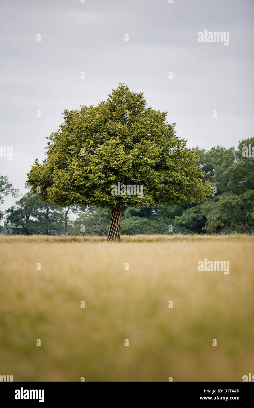 Richmond outdoors hi-res stock photography and images - Alamy