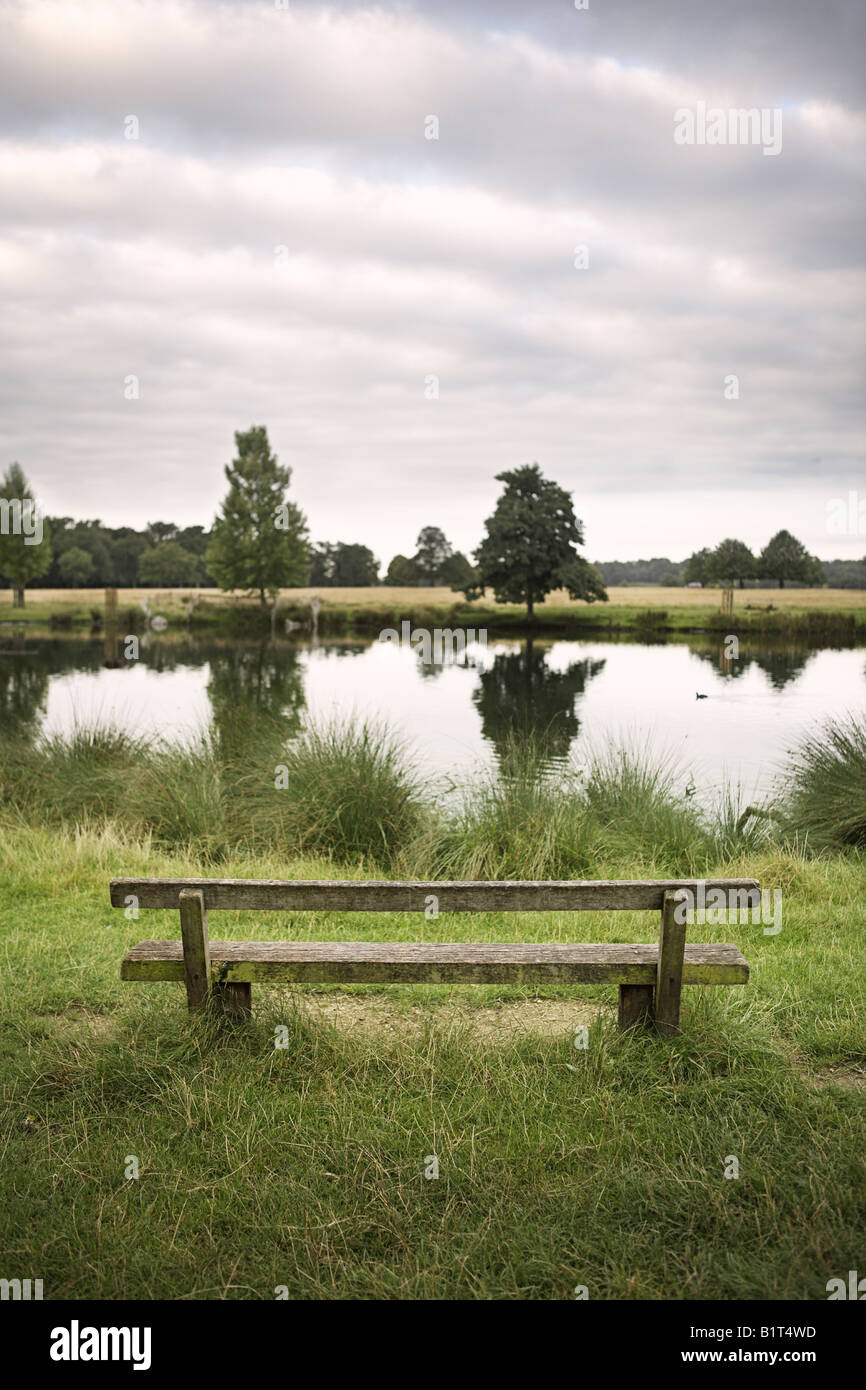 Bench by pond in Richmond Park, London Stock Photo - Alamy