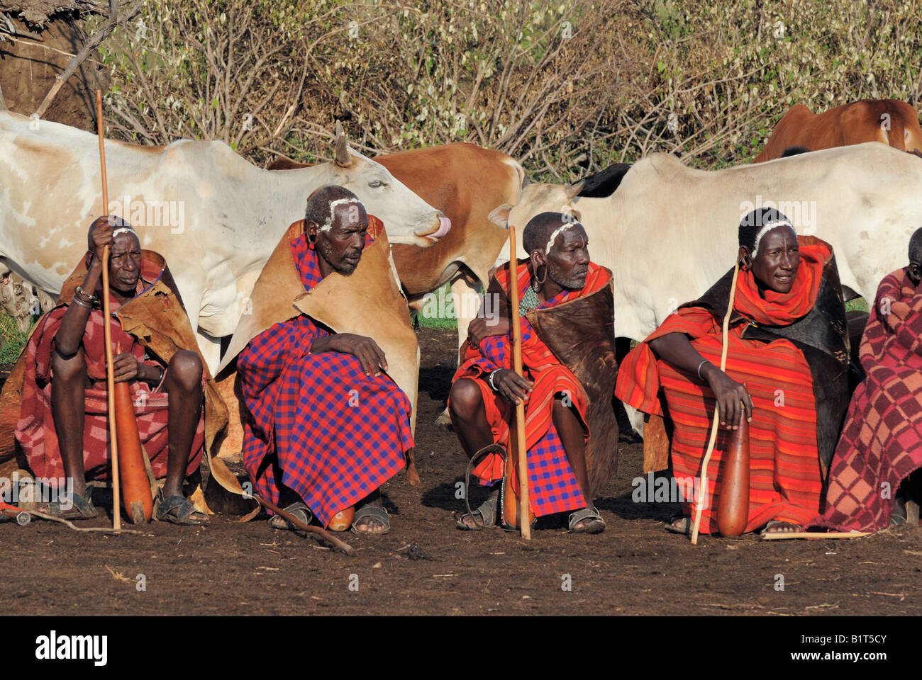 Maasai wedding hi-res stock photography and images - Alamy
