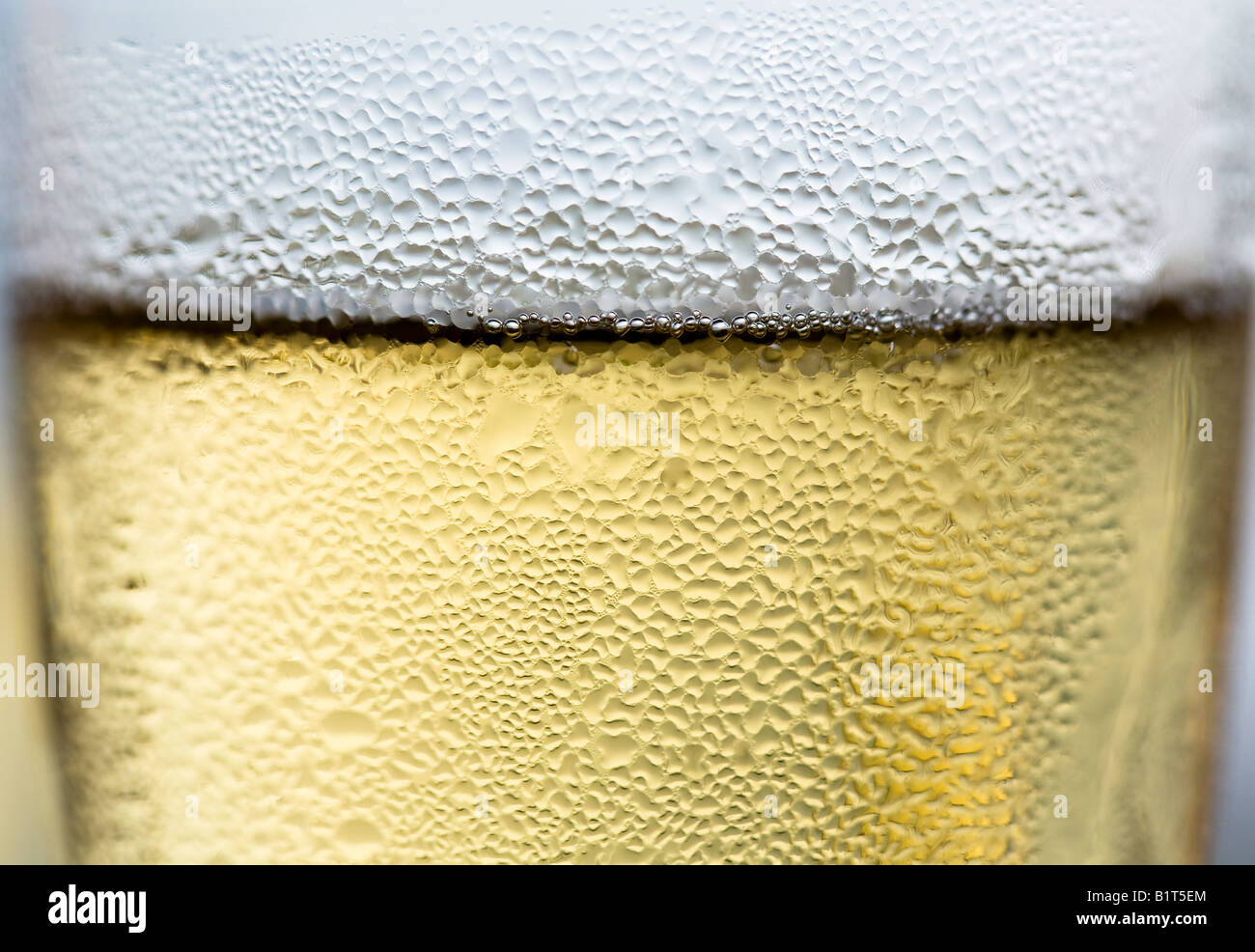 Chilled glass of champagne Stock Photo - Alamy