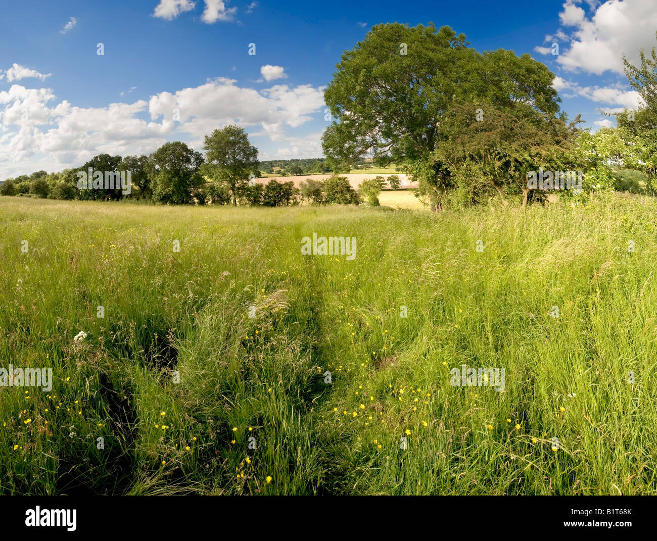 The grounds of a country estate Stock Photo - Alamy