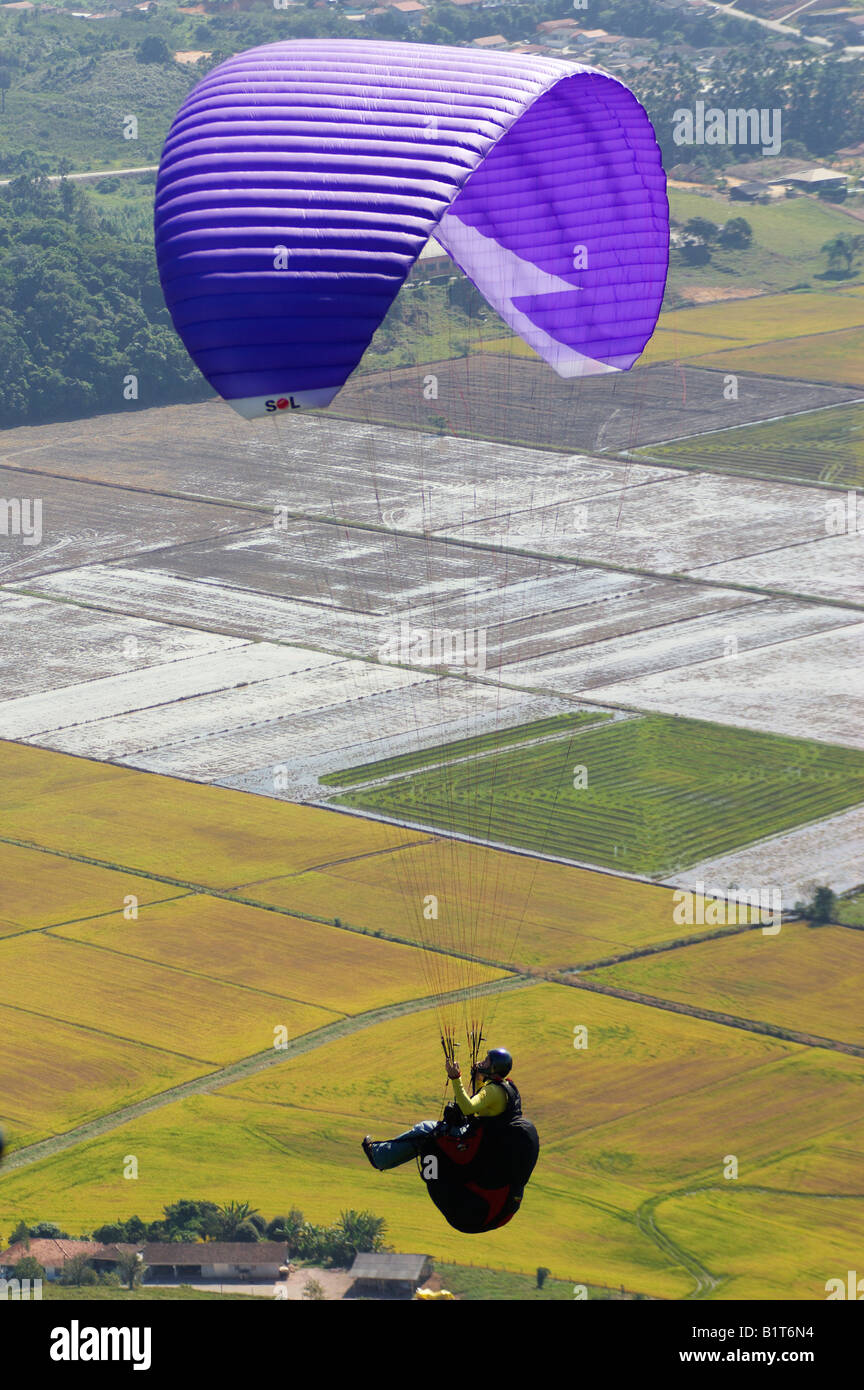 Flight over rice fields hi-res stock photography and images - Alamy
