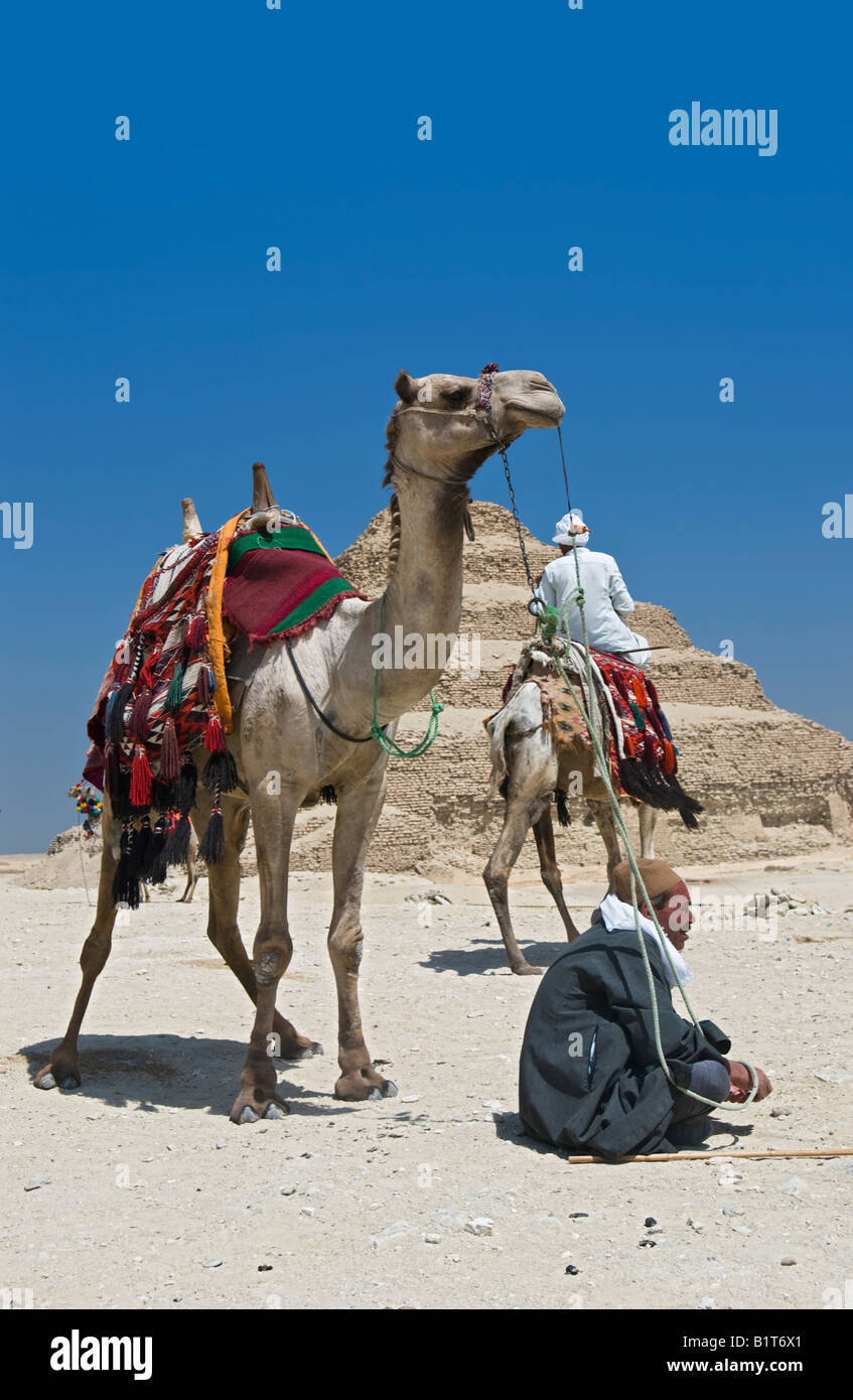 Camel Riders by Djoser's Step Pyramid at Saqqara, Egypt Stock Photo - Alamy