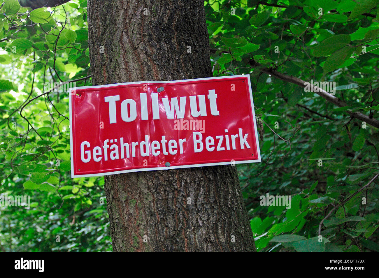 signboard - Rabies Stock Photo - Alamy