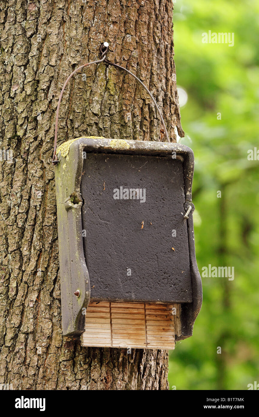Box for bats hi-res stock photography and images - Alamy
