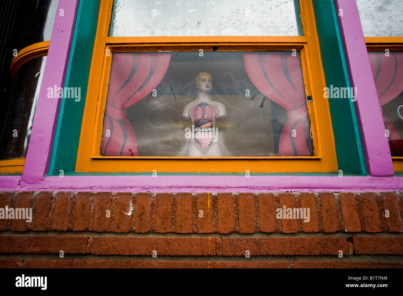 Wacko hollywood hi-res stock photography and images - Alamy