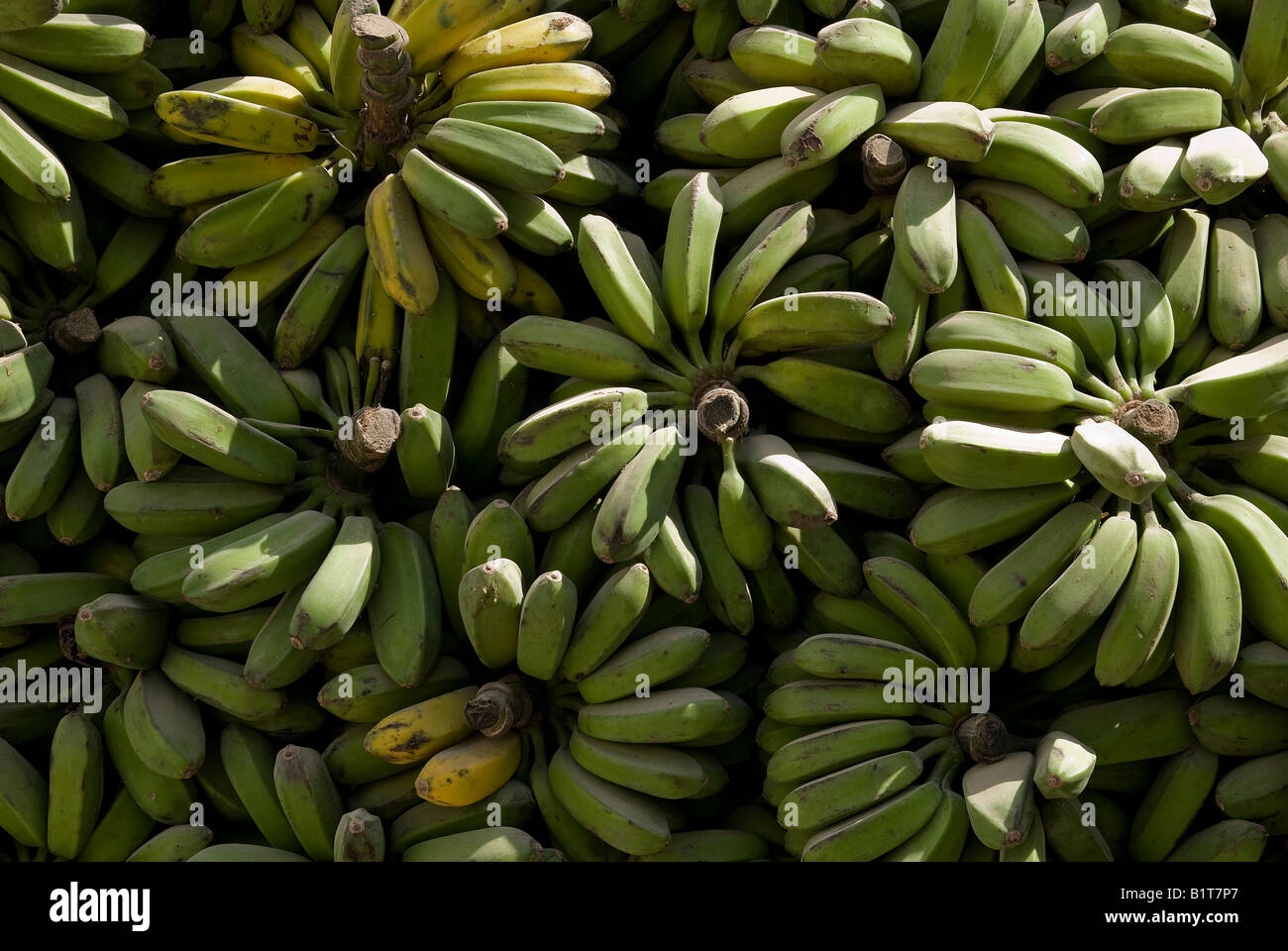 Banana cluster hi-res stock photography and images - Alamy