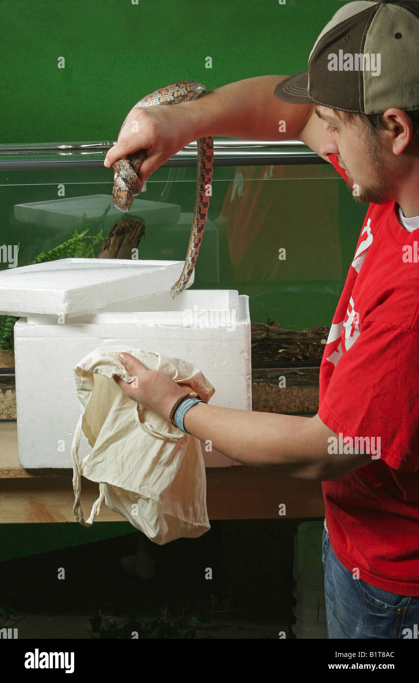 Wildlife in a box hi-res stock photography and images - Alamy