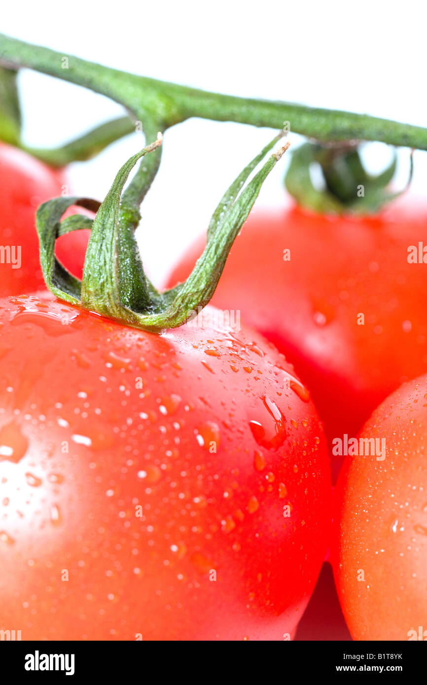 Fresh tomatoes isolated Stock Photo - Alamy