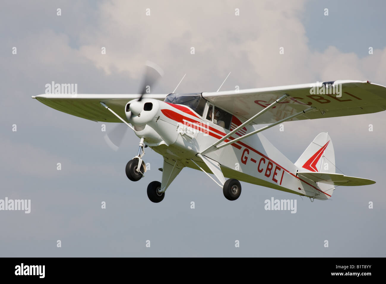 Piper colt hi-res stock photography and images - Alamy
