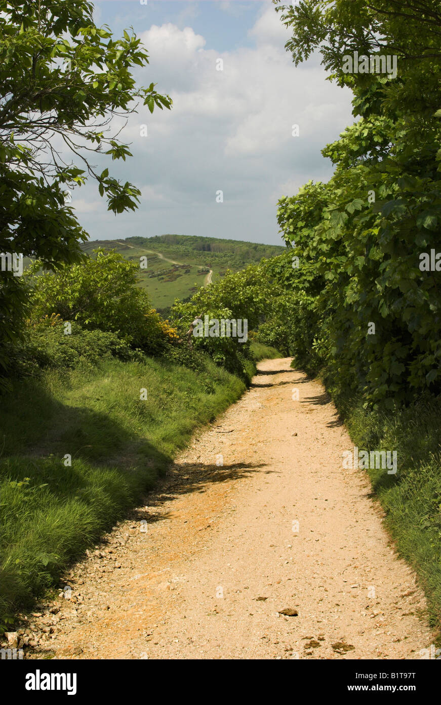 Limerstone down hi-res stock photography and images - Alamy