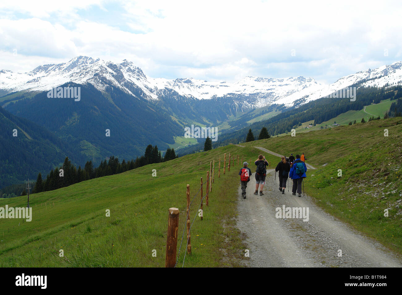 Hiking in austria, europe Stock Photo - Alamy