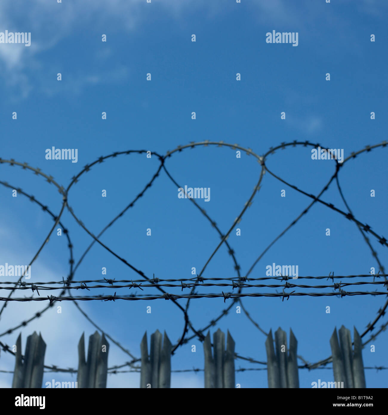 barbed wire fence Stock Photo - Alamy