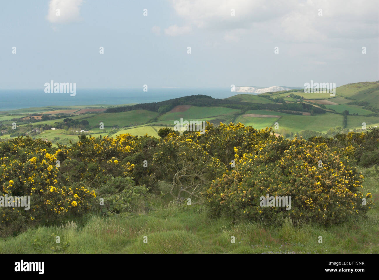 Limerstone down hi-res stock photography and images - Alamy