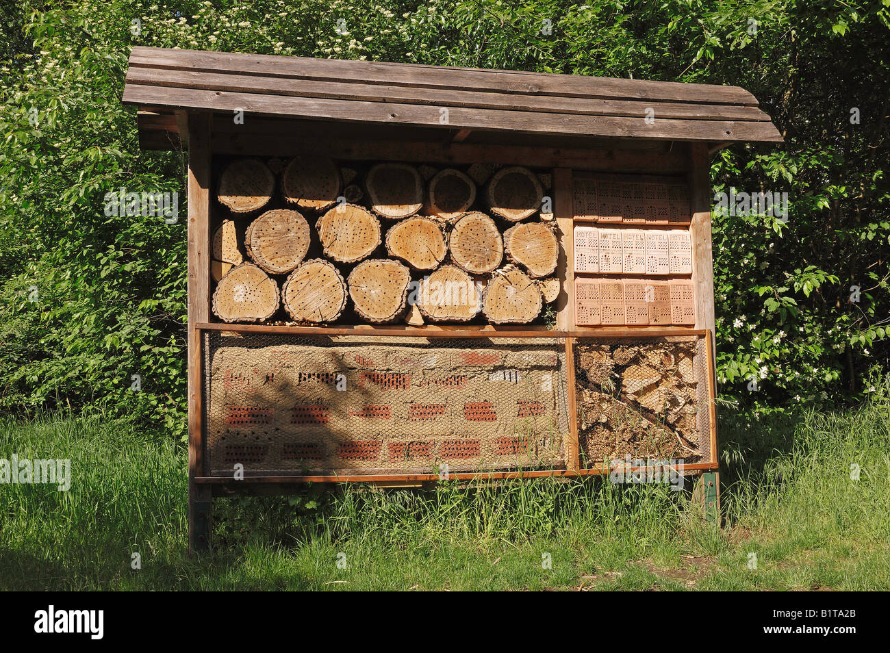 nesting box for insects Stock Photo - Alamy