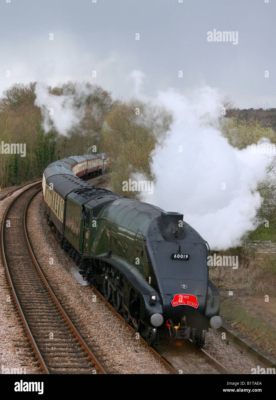 'Royal Scot' A4 class 'Bittern' steam engine Stock Photo - Alamy