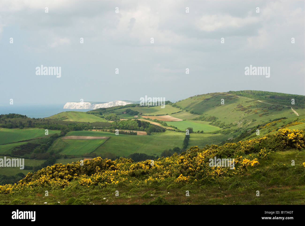 Looking south west over to Compton Bay from Limerstone Down above the ...
