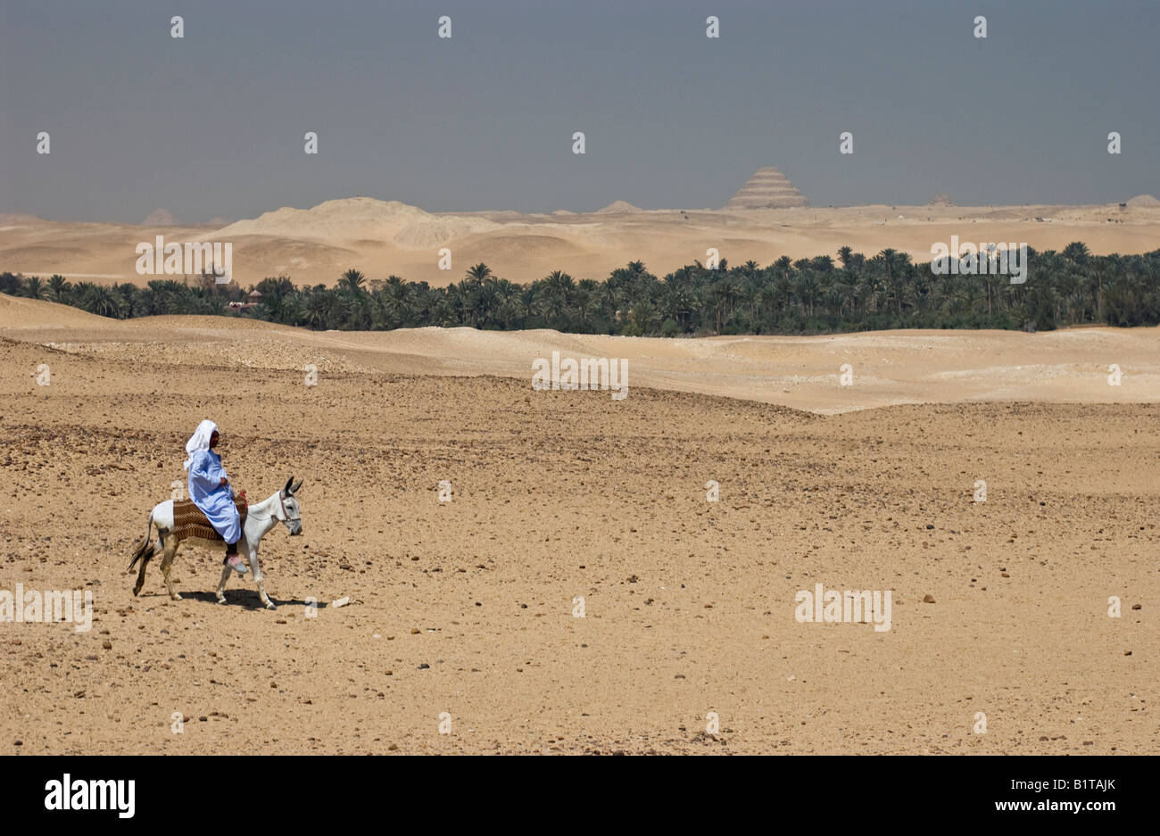 Egyptian Man riding a Mule in the Desert near Dashur and Step Pyramid ...