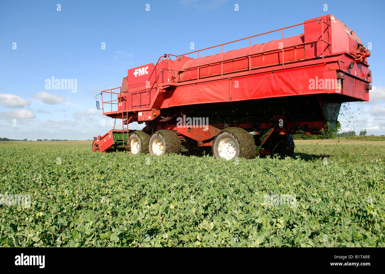 Pea factory hi-res stock photography and images - Alamy