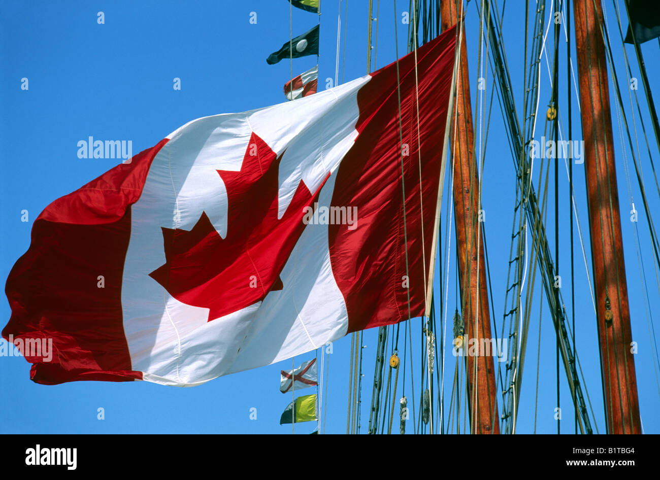 Canadian flag flies from the mast of a tallship, Newport, Rhode Island ...