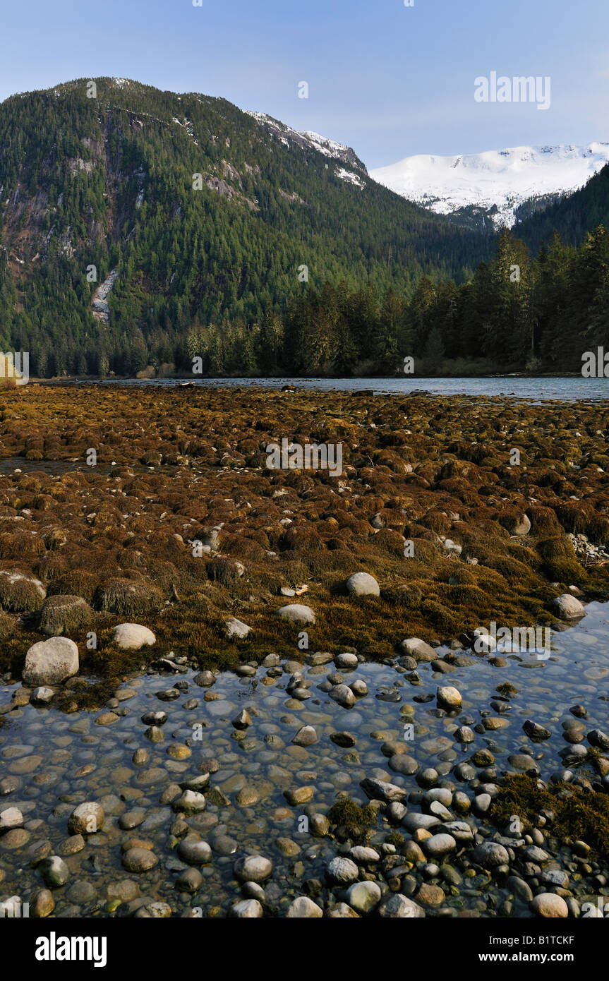 Wannock (Wanukv) River and Wuikinuxv Conservancy, Great Bear Rainforest ...