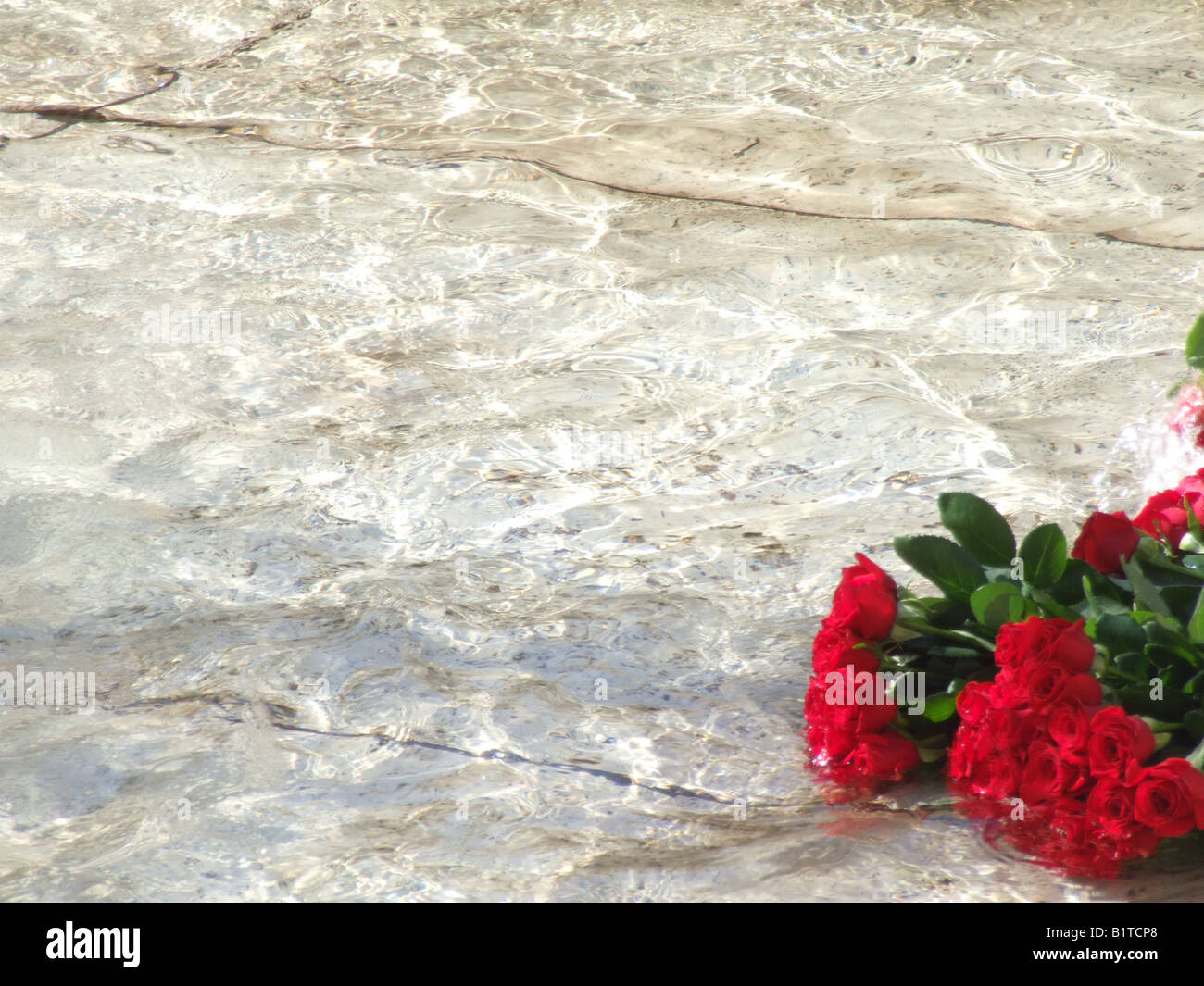 bunch of red roses flowers in a pool of water fountain Stock Photo - Alamy