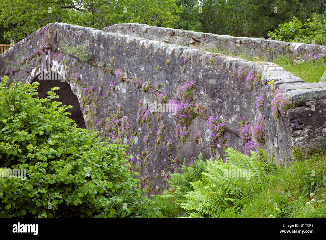 Disused road bridge hi-res stock photography and images - Alamy