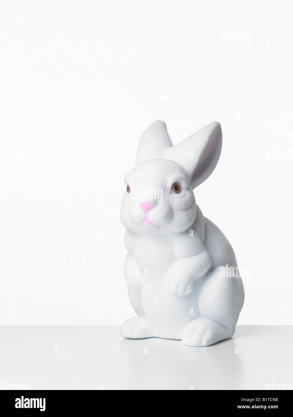 White model rabbit Stock Photo - Alamy