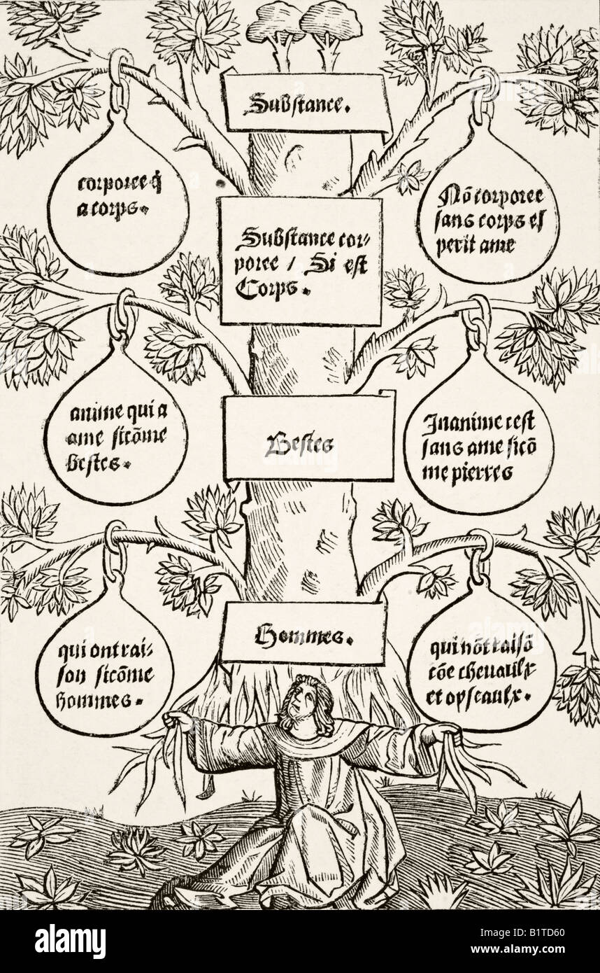 Paul lacroix heart hi-res stock photography and images - Alamy