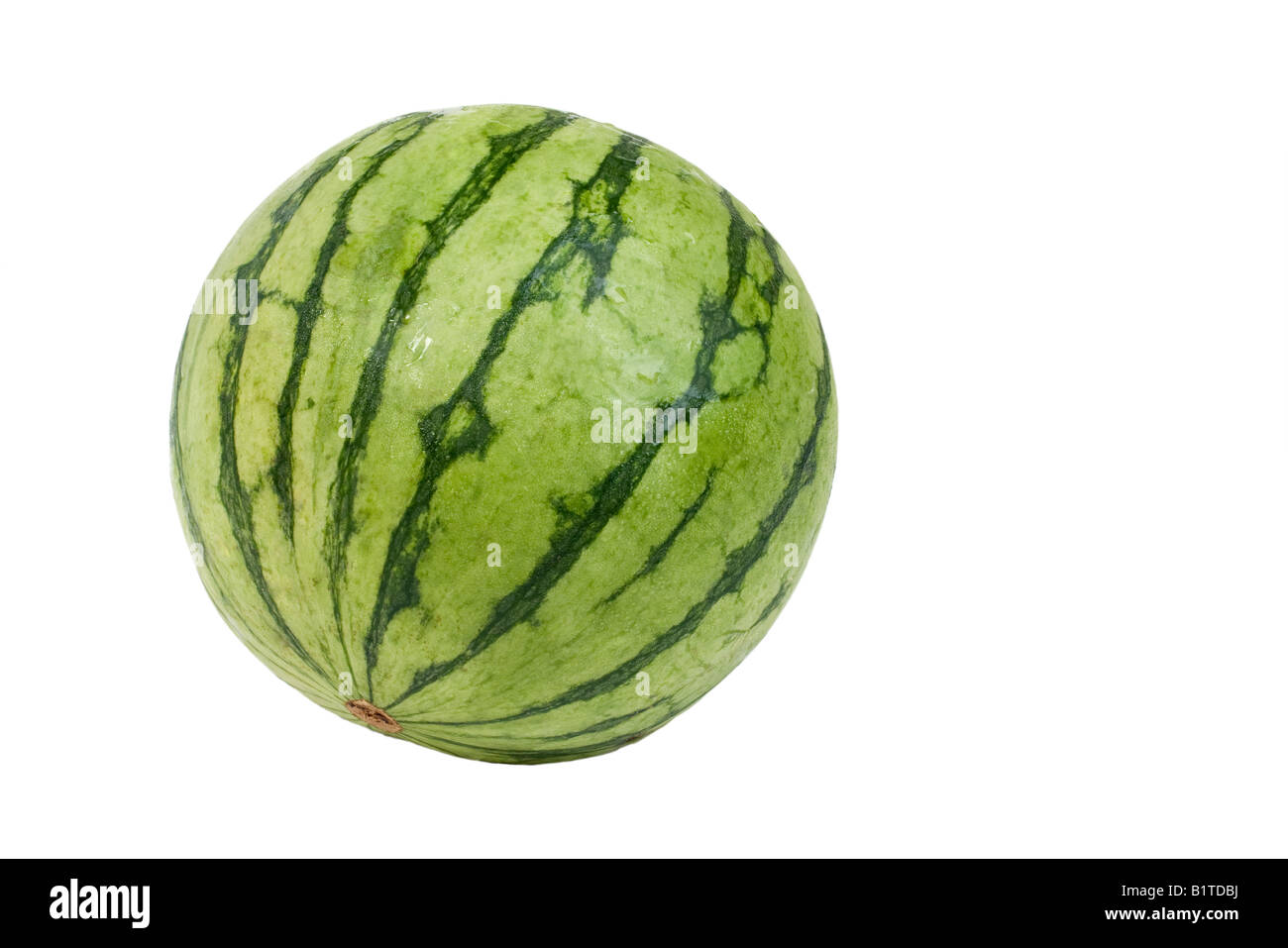 A fresh personal size watermelon with droplets of cool water Stock ...