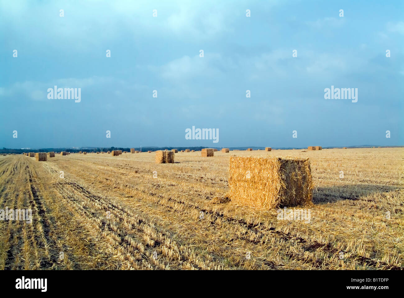 Grainfield and bale of straw hi-res stock photography and images - Alamy