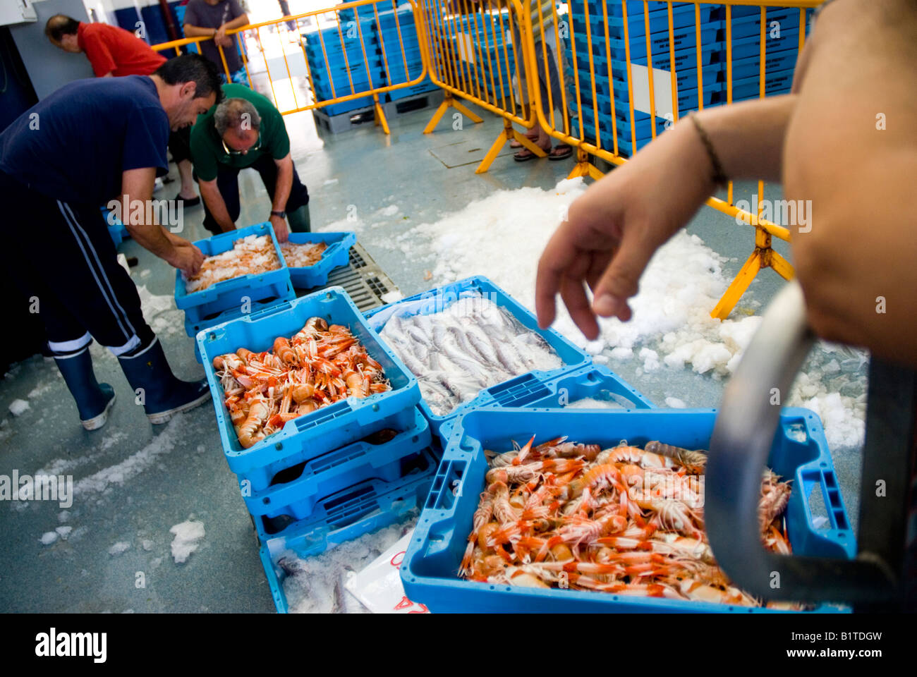 Fish market ALMERIA Andalusia Spain Stock Photo - Alamy