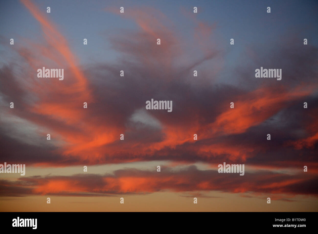 Sunset fiery red Cirrus clouds under a blue to pale yellow sky Stock ...