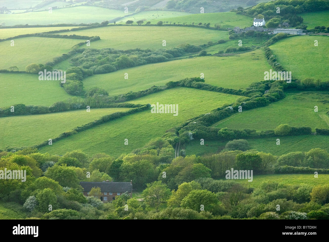 Pastures and hedgerows, farm buildings, Devon, England, UK Stock Photo ...