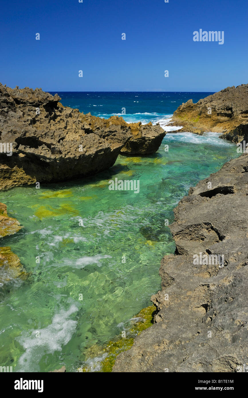 The rough coast at Punta Marchiquita near the small town of Los Molinos ...
