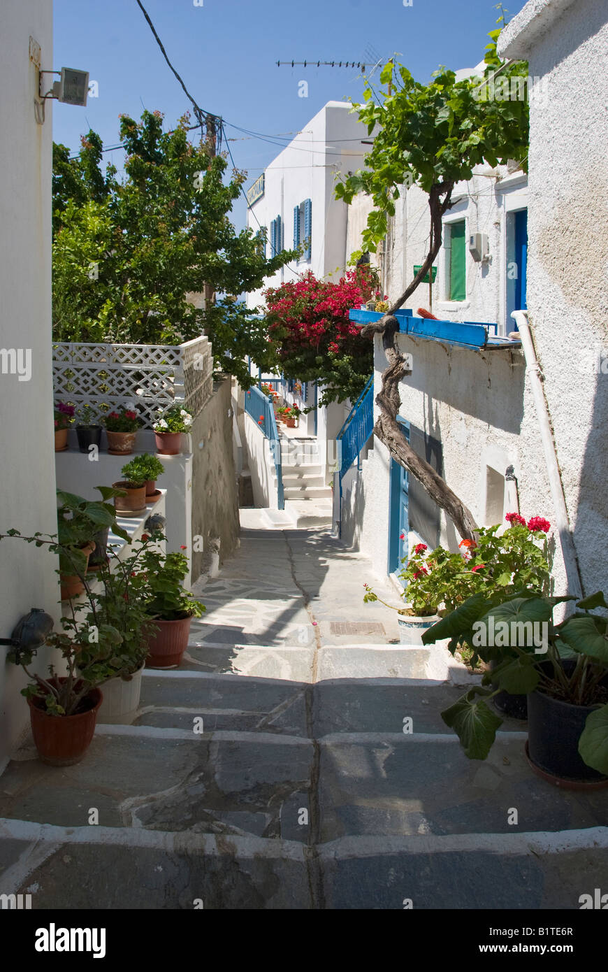 Street in Naxos Town, Cyclades Greece Stock Photo - Alamy